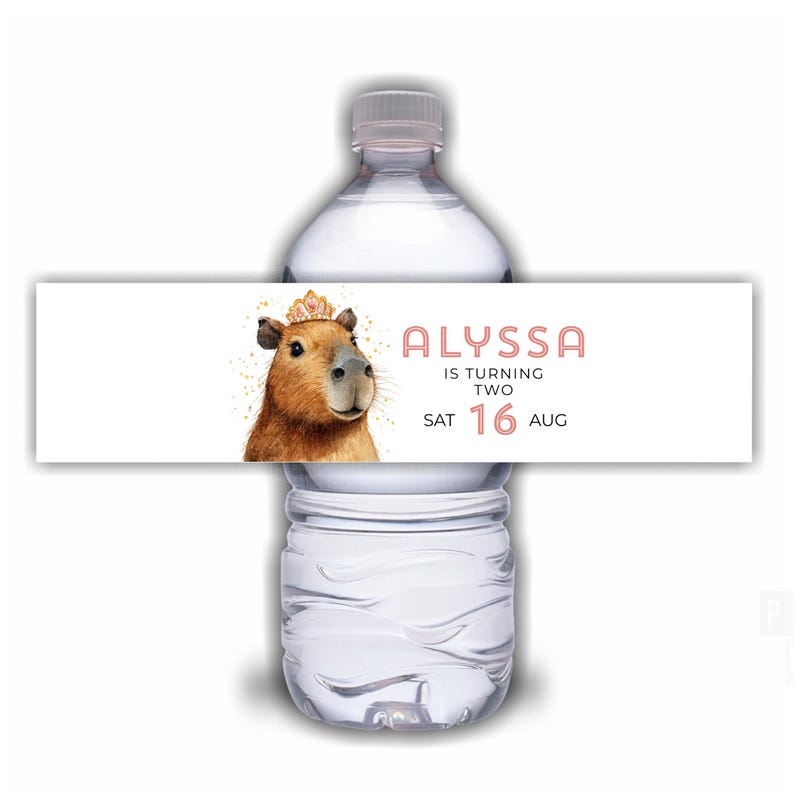 Capybara Water Bottle Labels: Wild Zoo Party Decor Digital Download ...