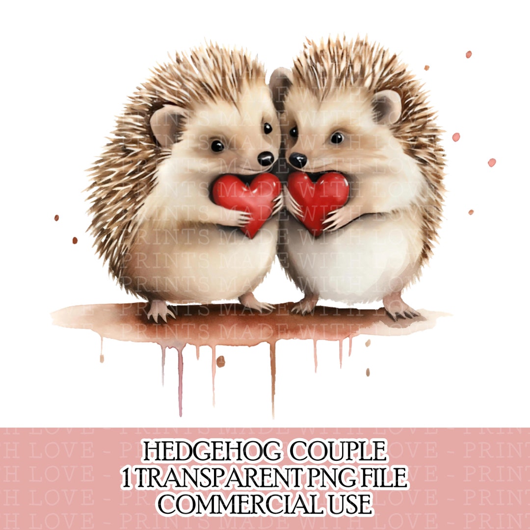 Hedgehog Couple Clipart PNG Sublimation Design Mr Mrs Valentine's ...