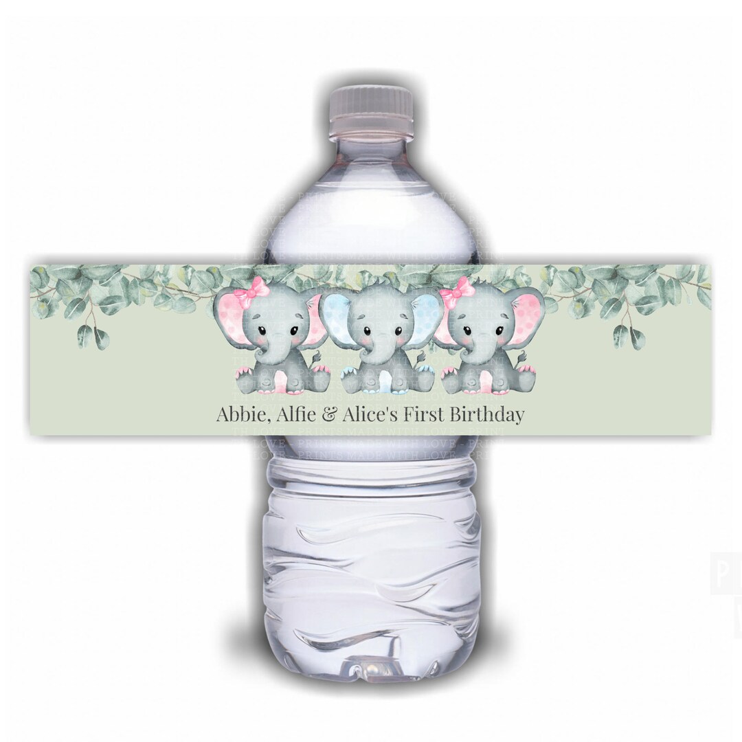 Triplets Birthday Water Bottle Label Template 2 Girls 1 Boy Elephant ...