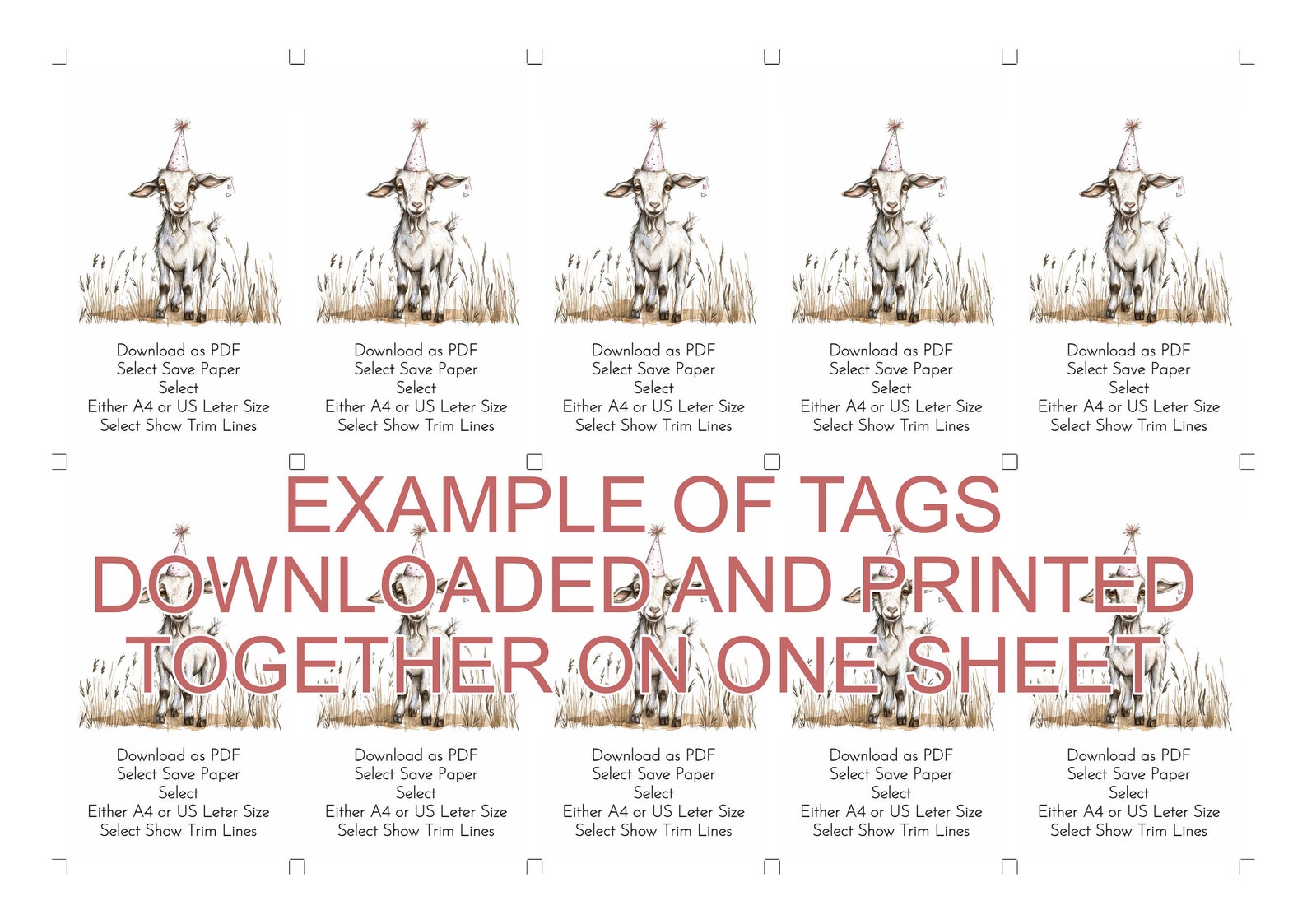 Editable Llama Birthday Party Thank You for Coming Tag Farm Party Tag ...