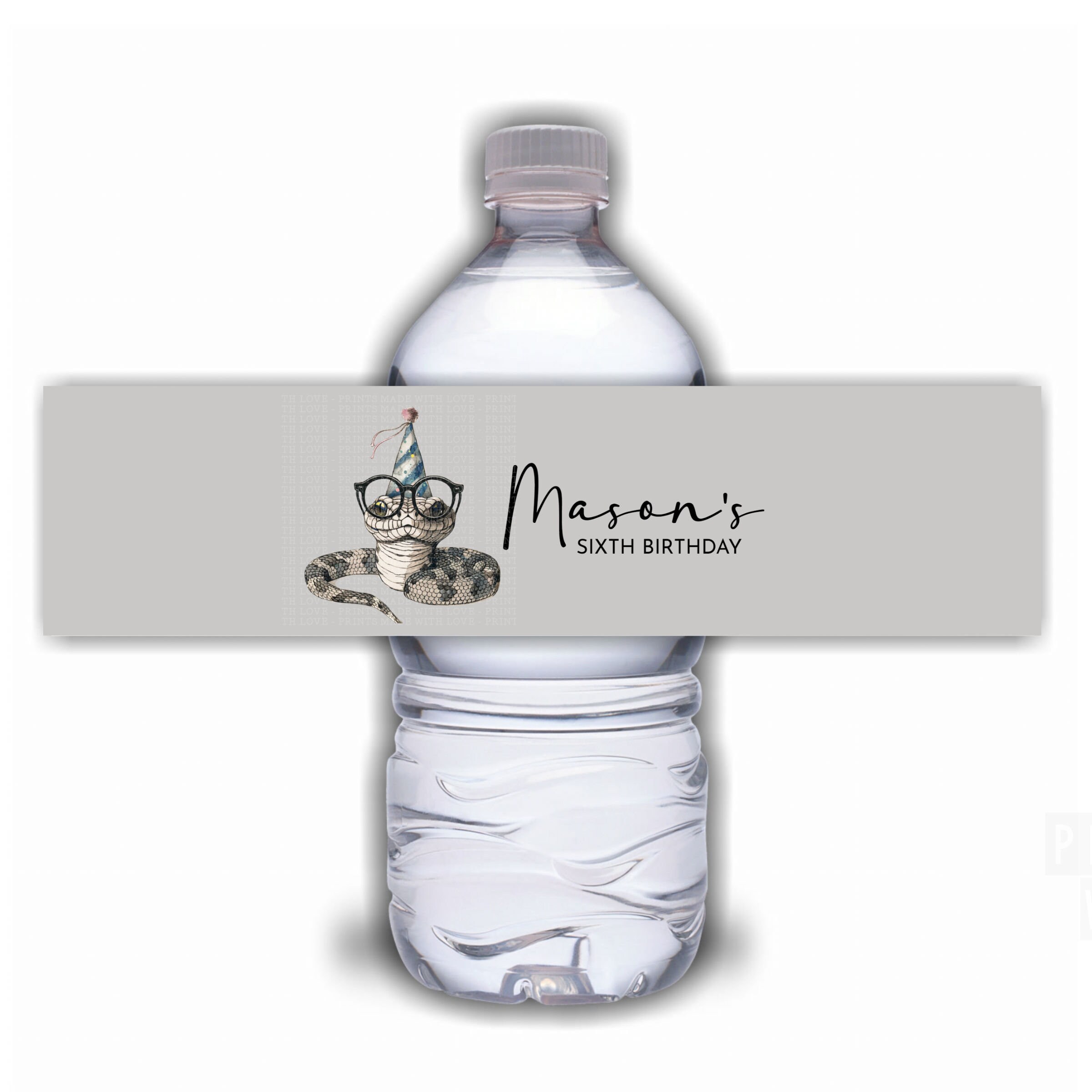 Snake Birthday Party Water Bottle Label Template (digital Download) - Etsy