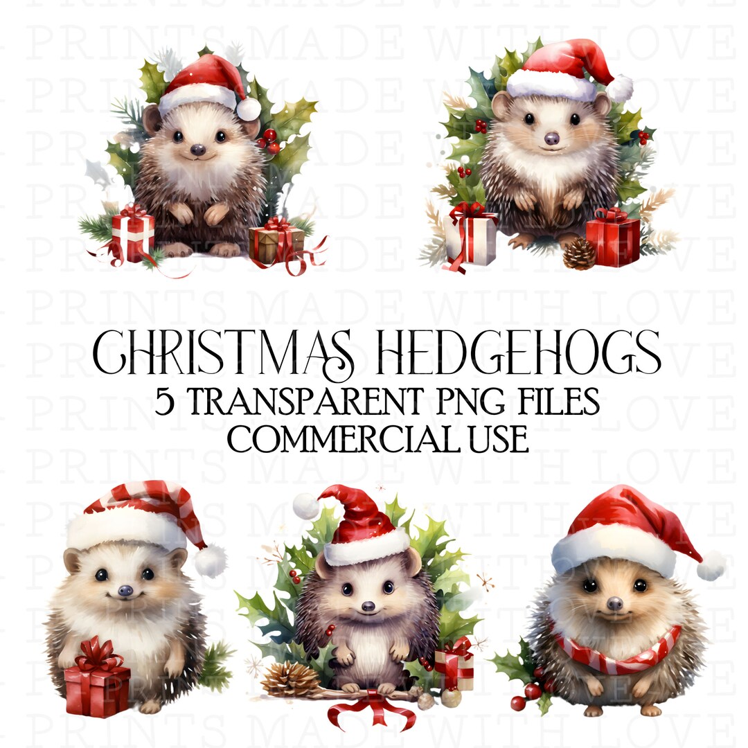 Christmas Hedgehogs Festive Sublimation Design Hedgehog Card Making ...