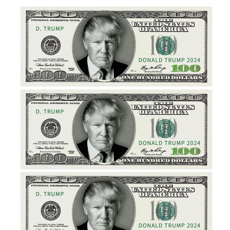 Trump 2024 License Plates - Etsy