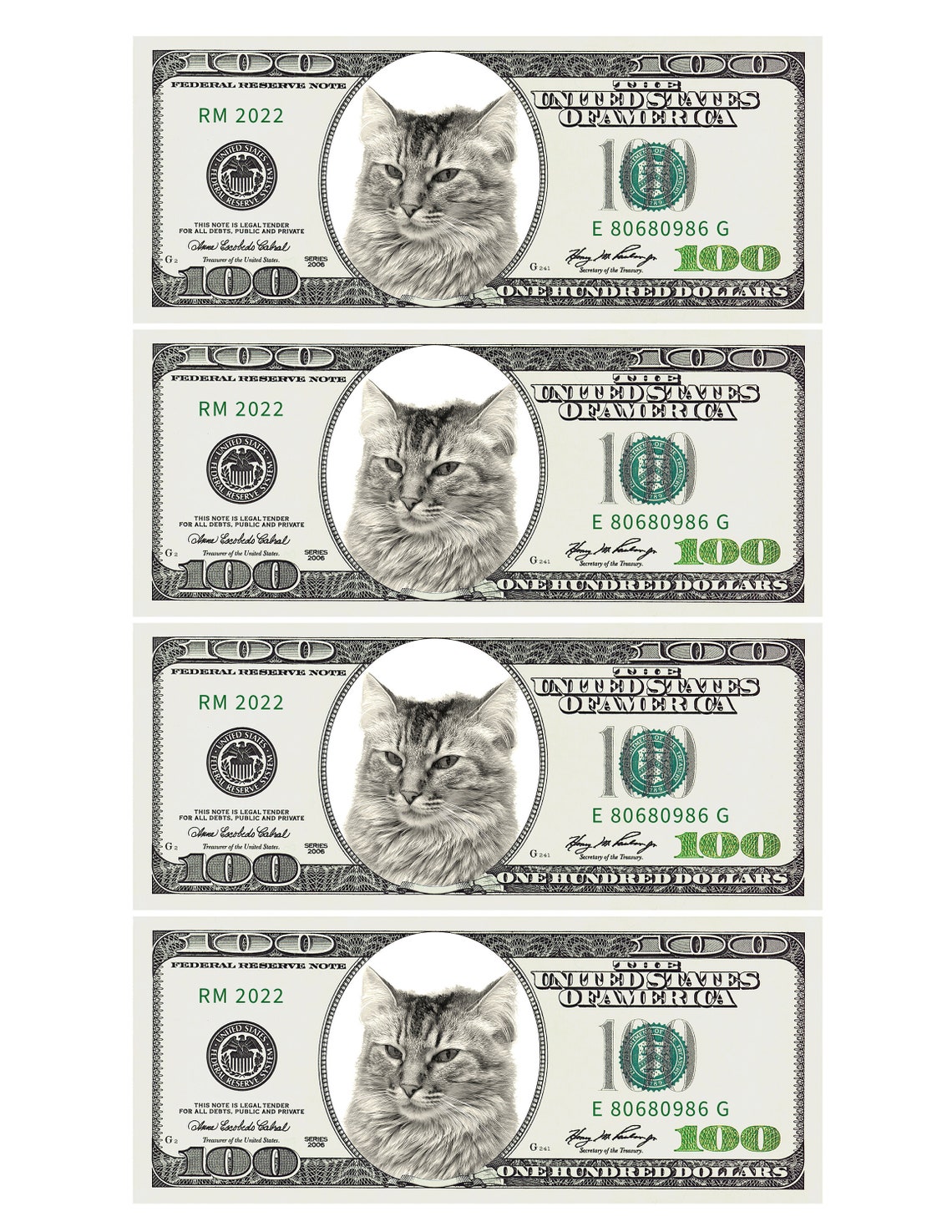 Personalized 100 Dollar Bill PINK Teacher Money Classroom - Etsy