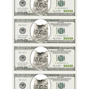 Personalized 100 Dollar Bill PINK - Teacher Money | Classroom Money ...