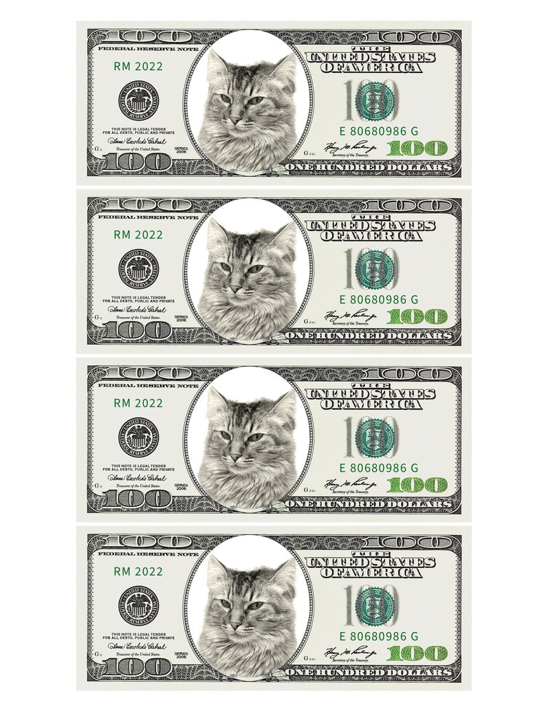 Personalized 20 Dollar Bill | Custom Money With Your Face - Letter Page ...