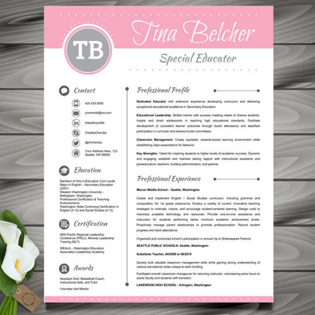 PINK Professional Resume Template | CV Template | Powerpoint EDITABLE ...