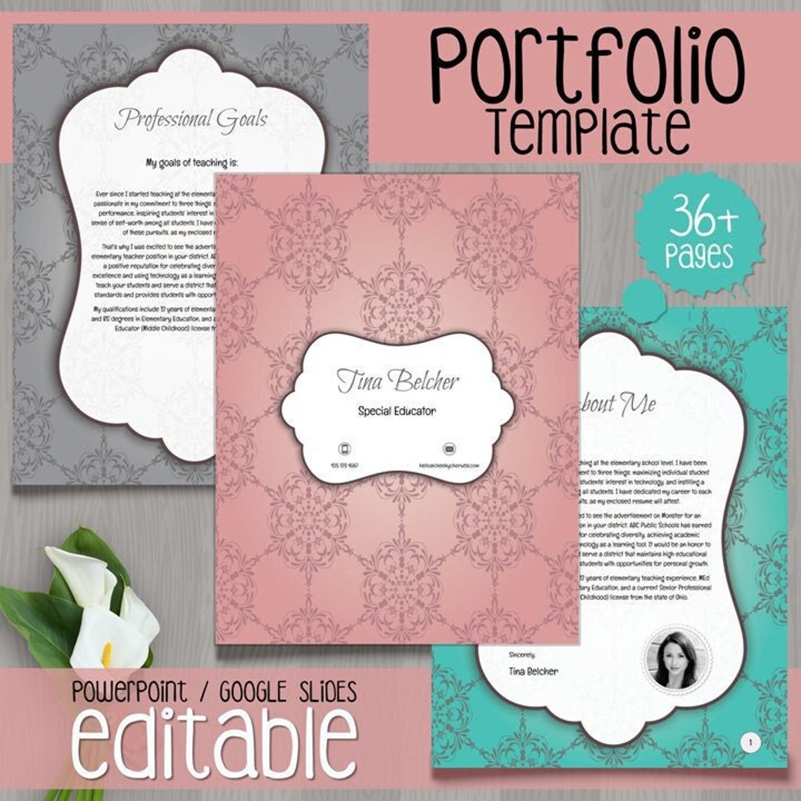 Teacher Portfolio Template Powerpoint EDITABLE - Etsy