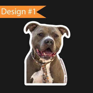 Set of 20 Awesome Personalized Pet Stickers!, Glossy Finish. Custom ...