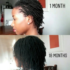 9 STEPS TO MICROLOCS, A Step by Step Manual to Starting Your Own Locs ...