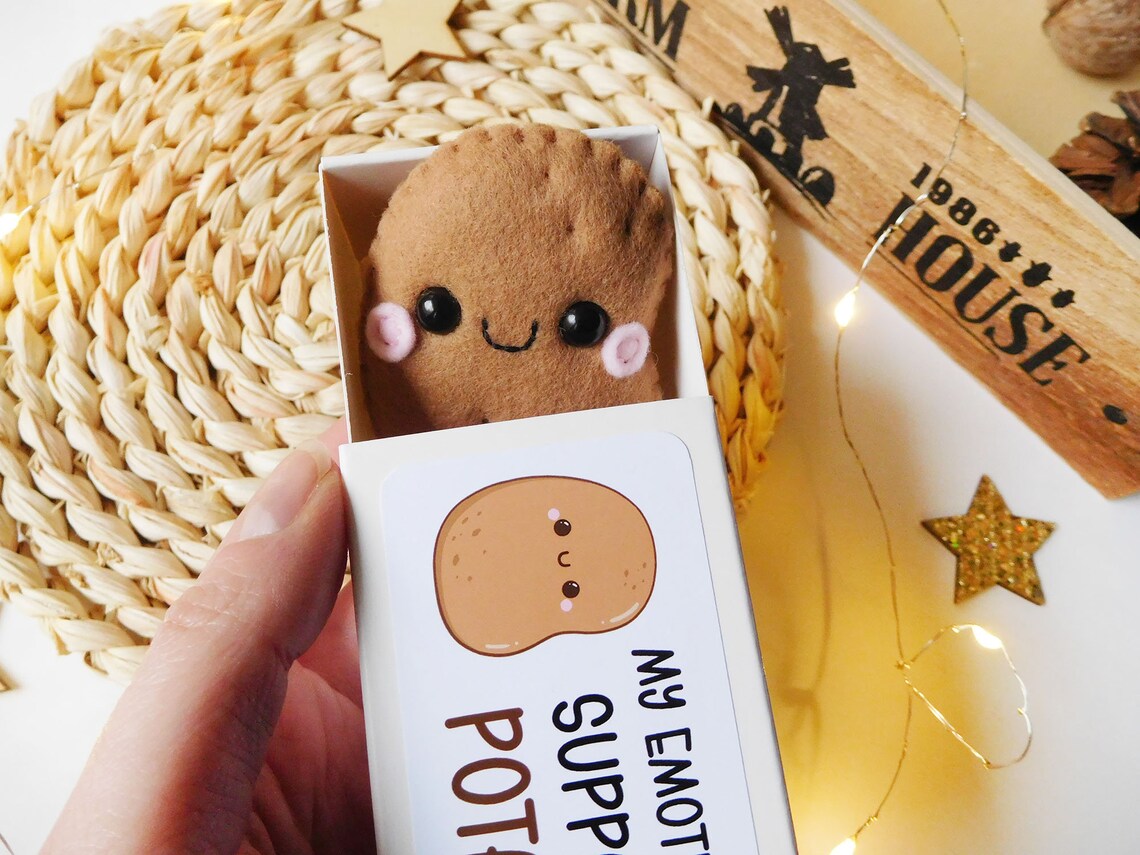 Felt Emotional Support Potato in a Matchbox, Positive Potato, Positive ...