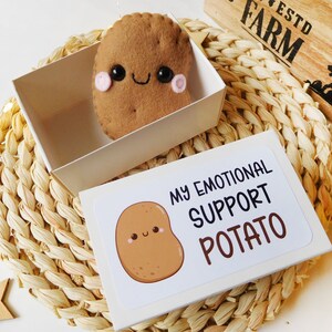 Felt Emotional Support Potato in a Matchbox, Positive Potato, Positive ...