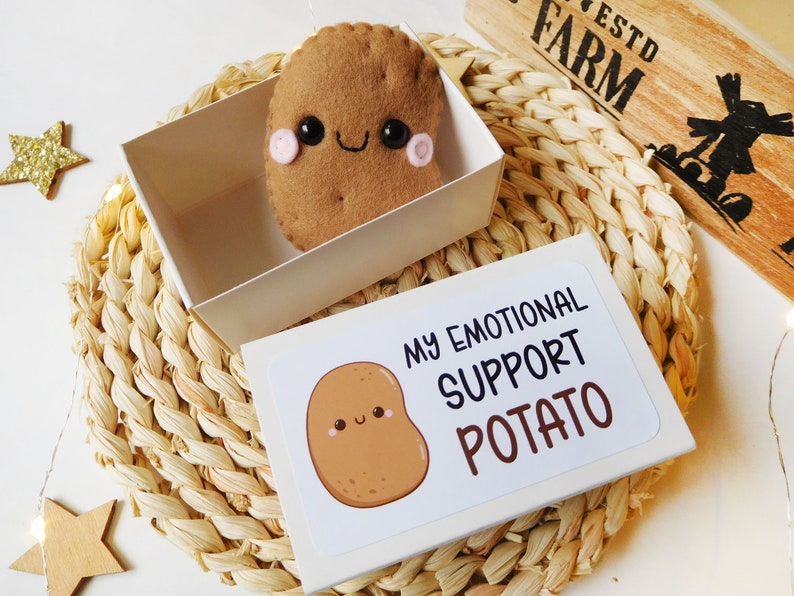 Felt Emotional Support Potato in a Matchbox, Positive Potato, Positive ...
