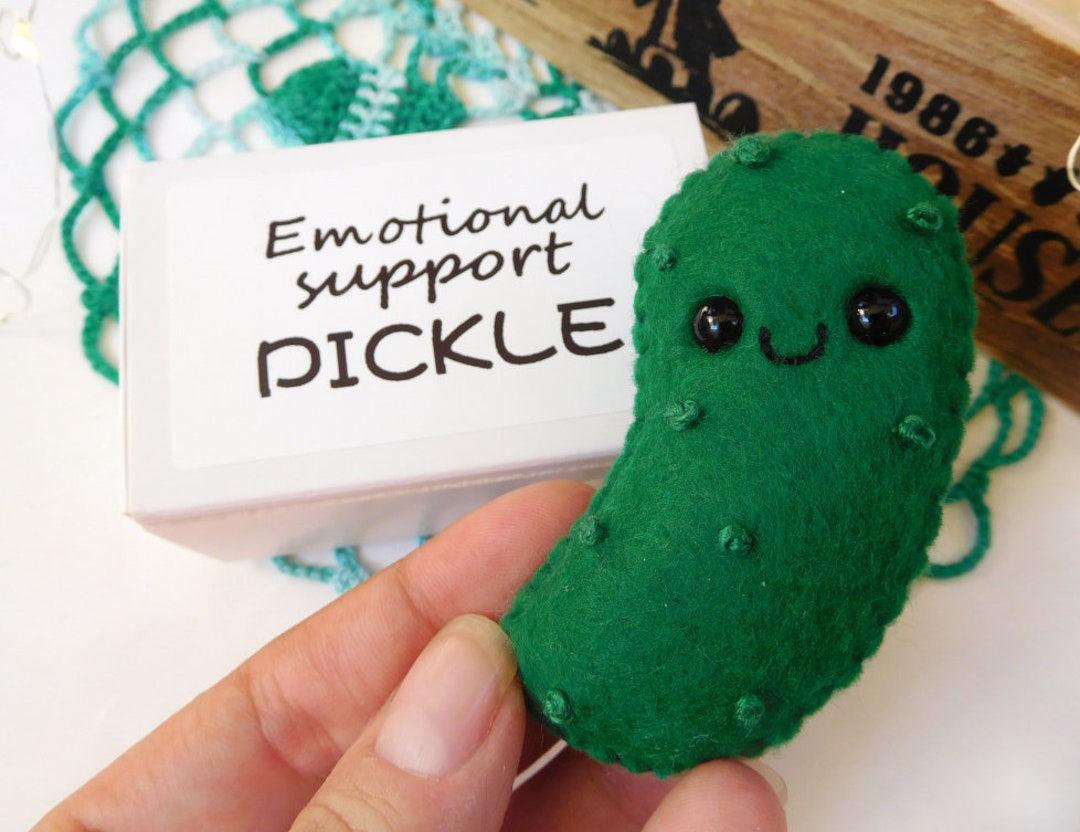 Emotional Support Felt Pickle Kawaii Plush in a Matchbox - Etsy Canada