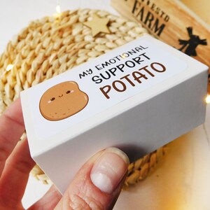 Felt Emotional Support Potato in a Matchbox, Positive Potato, Positive ...