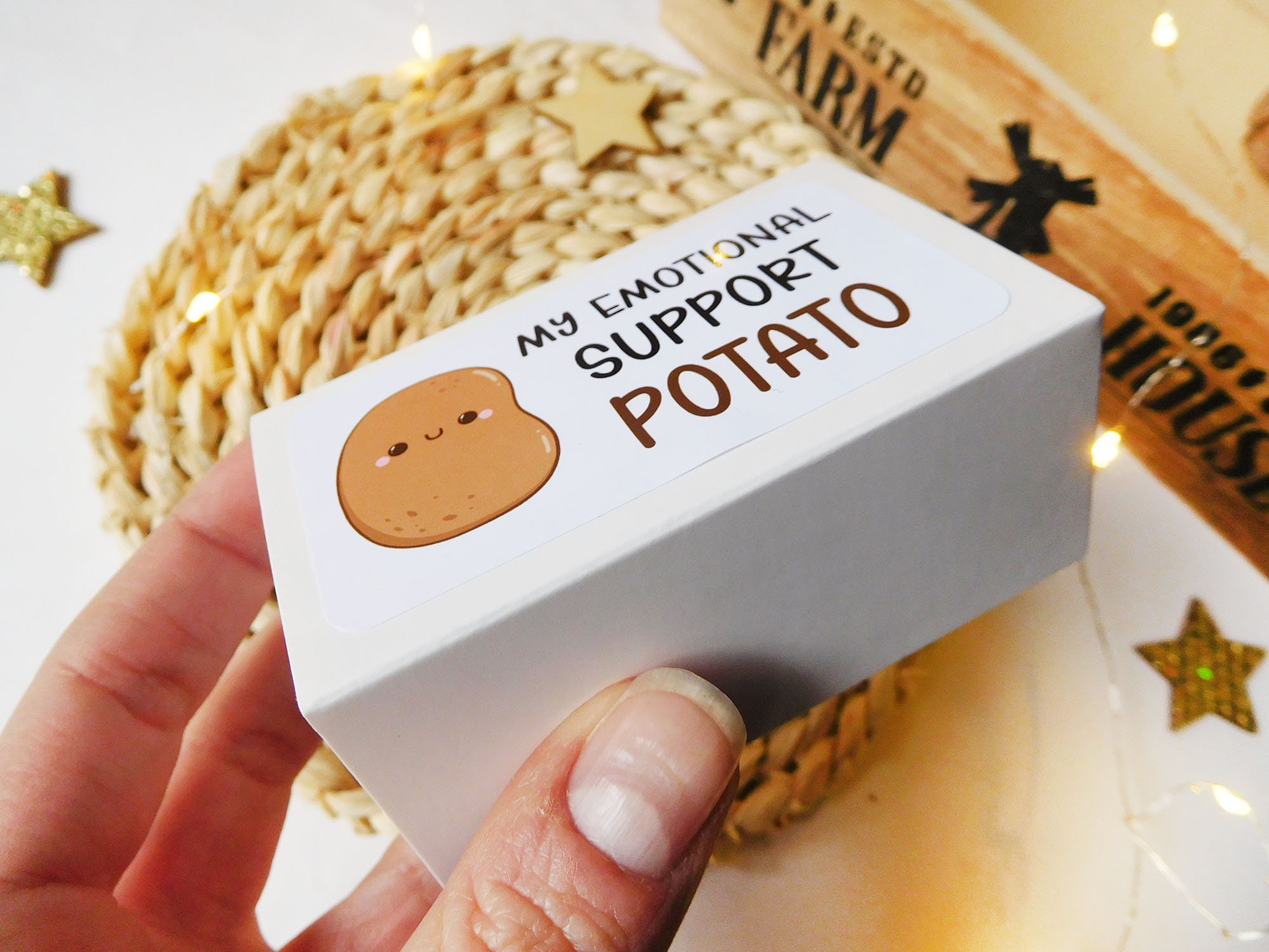 Felt Emotional Support Potato in a Matchbox, Positive Potato, Positive ...