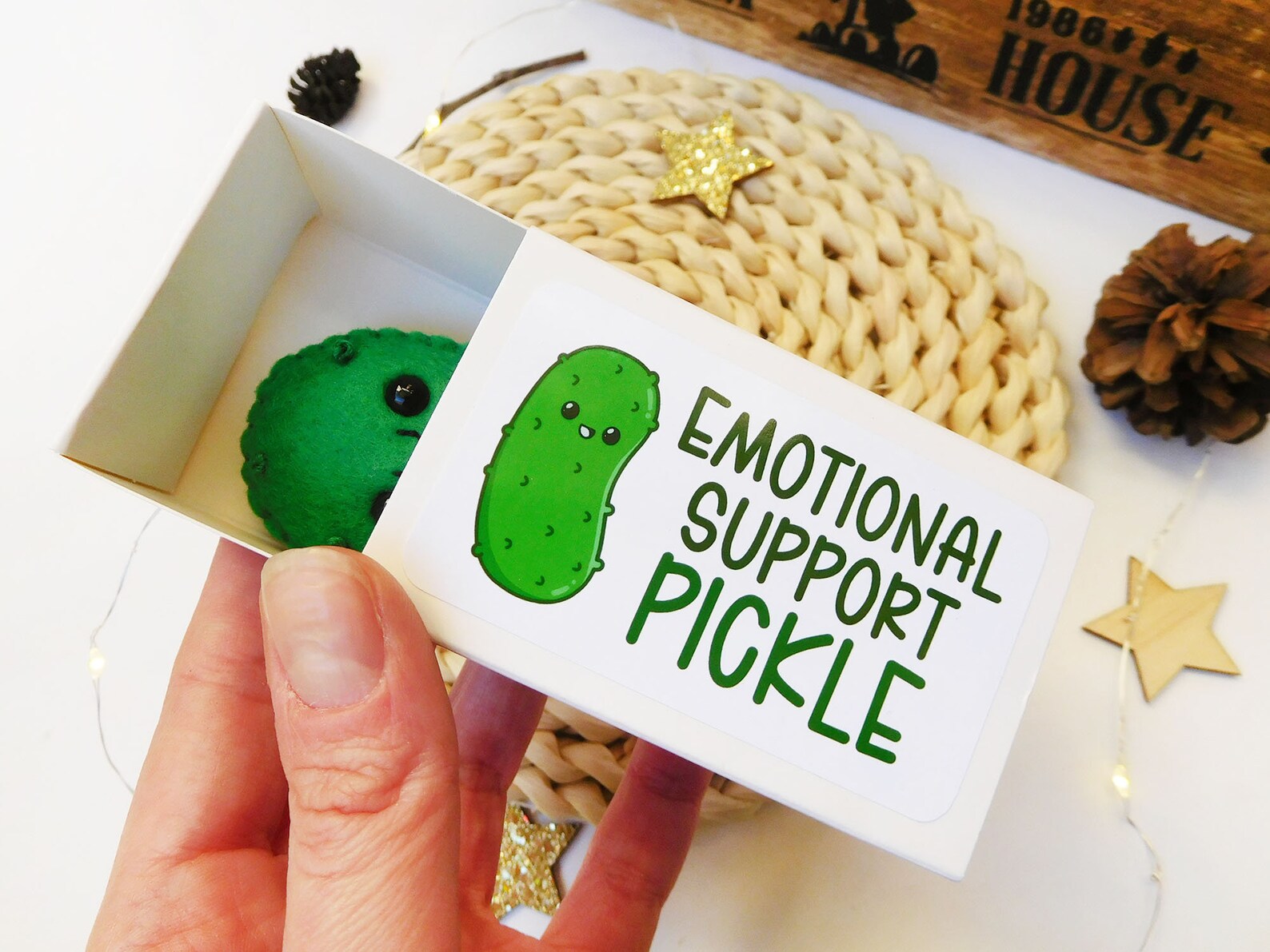 Emotional Support Felt Pickle Kawaii Plush in a Matchbox, Pocket Hug ...