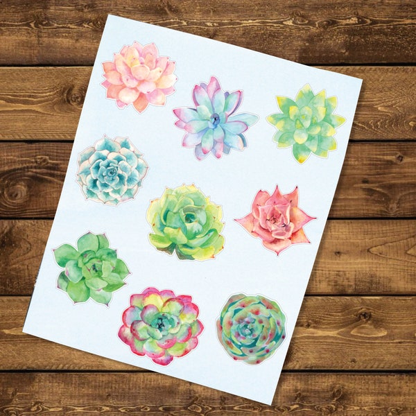 Succulent Decal - Etsy