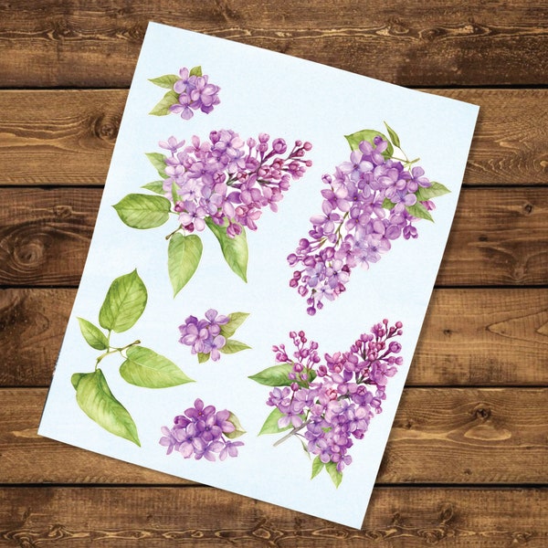 Lilac Decals - Etsy