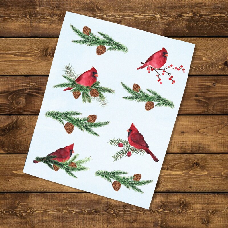 Cardinal Decal - Etsy