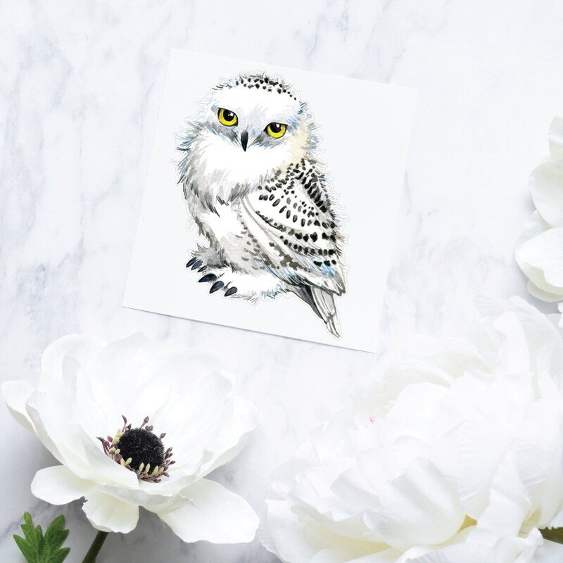 Owl Decals - Etsy
