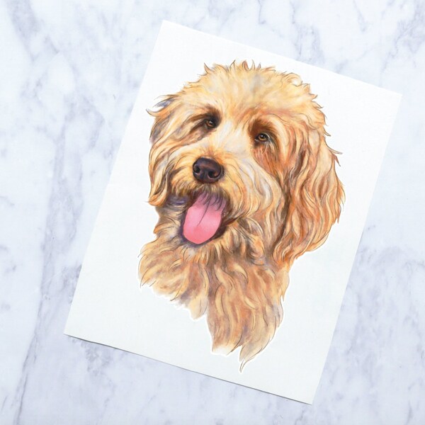 Labradoodle - Etsy