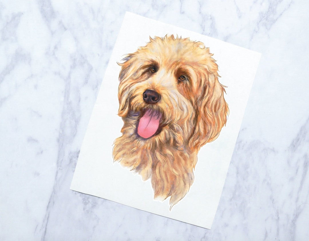 Labradoodle Sticker | Watercolor Dog Vinyl Sticker | Dog Car Decal ...