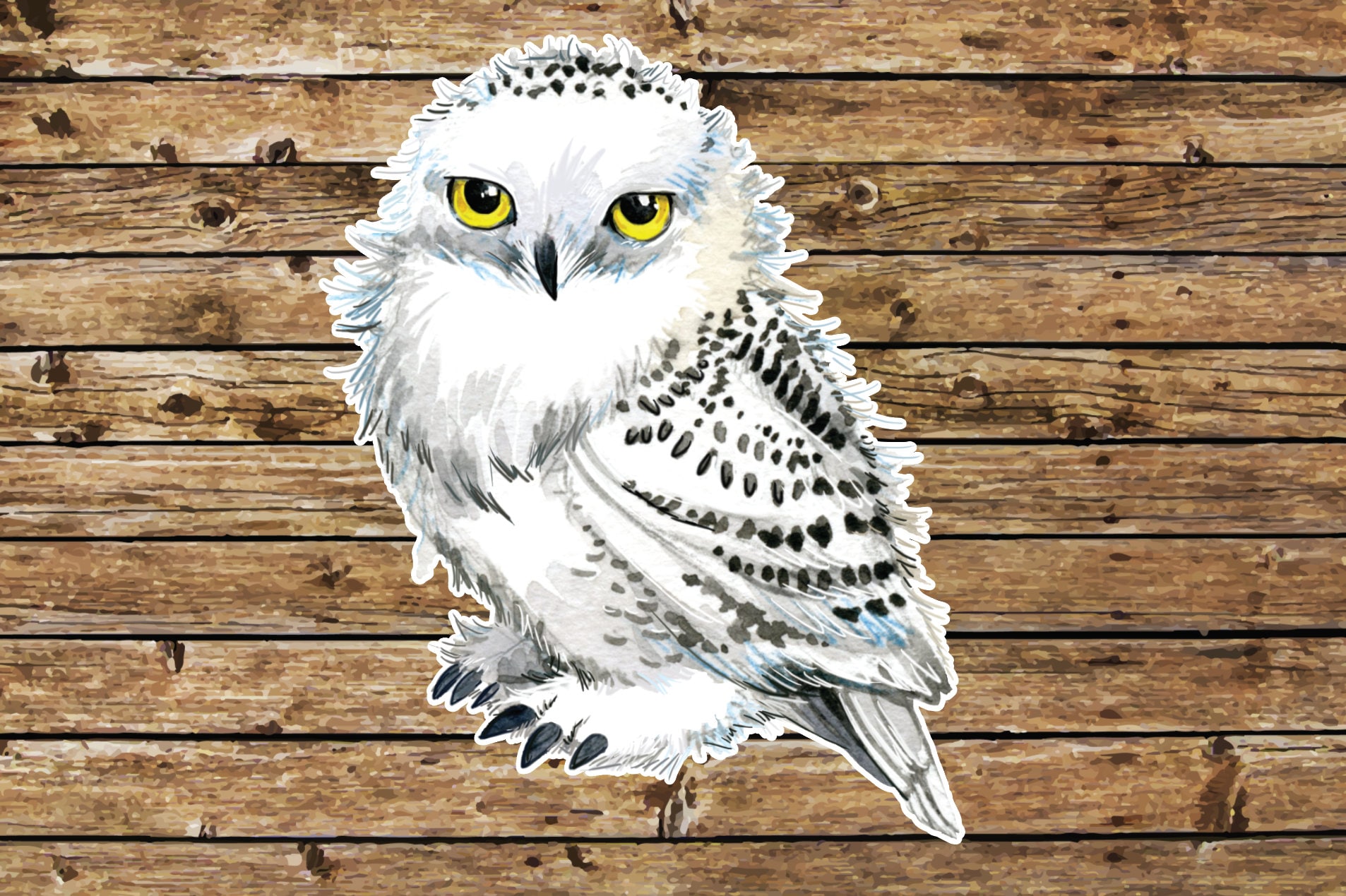 Snow Owl Vinyl Sticker Watercolor Owl Decal Owl Sticker | Etsy