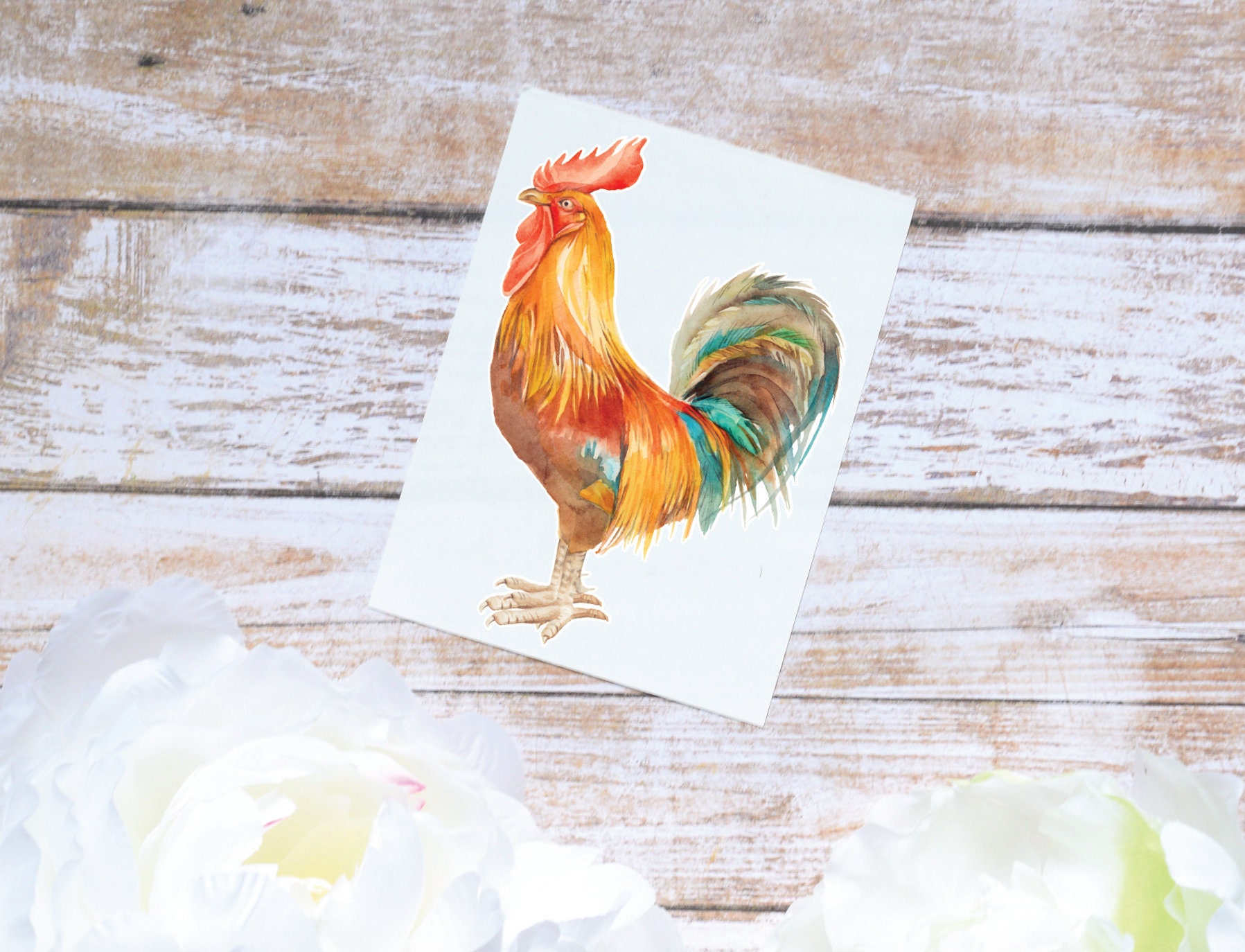 Rooster Sticker Watercolor Rooster Vinyl Decal Chicken - Etsy