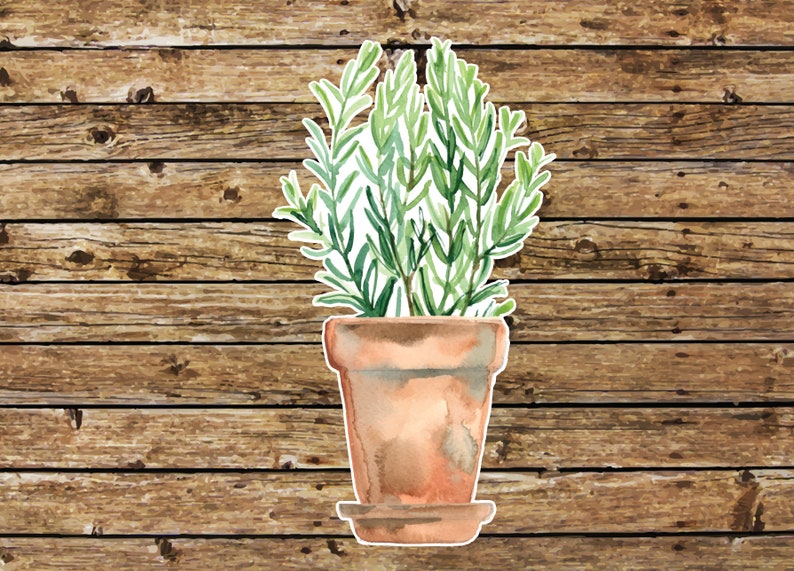 Potted Herb Sticker Plant Decal Herb Vinyl Decal - Etsy