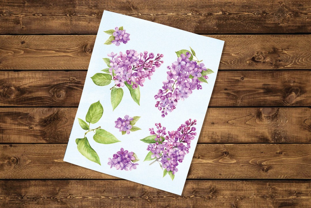 Lilac Branch Decal Pack | Watercolor Floral Vinyl Decals | Purple ...