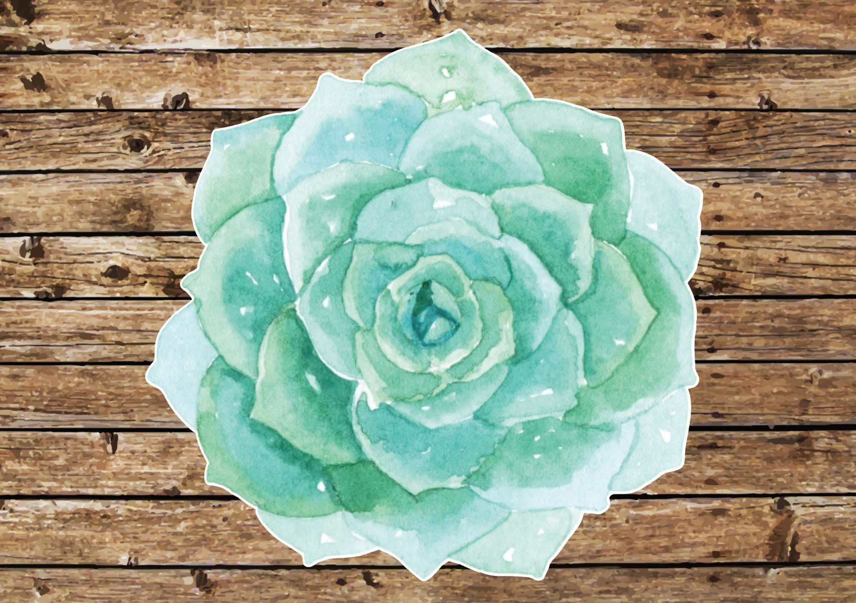 Green Succulent Sticker Succulent Decal Succulent Vinyl - Etsy