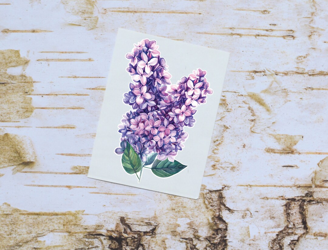 Lilac Flower Sticker Lilac Vinyl Decal Watercolor Flower - Etsy
