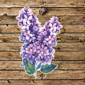 Lilac Flower Sticker | Lilac Vinyl Decal | Watercolor Flower Decal ...