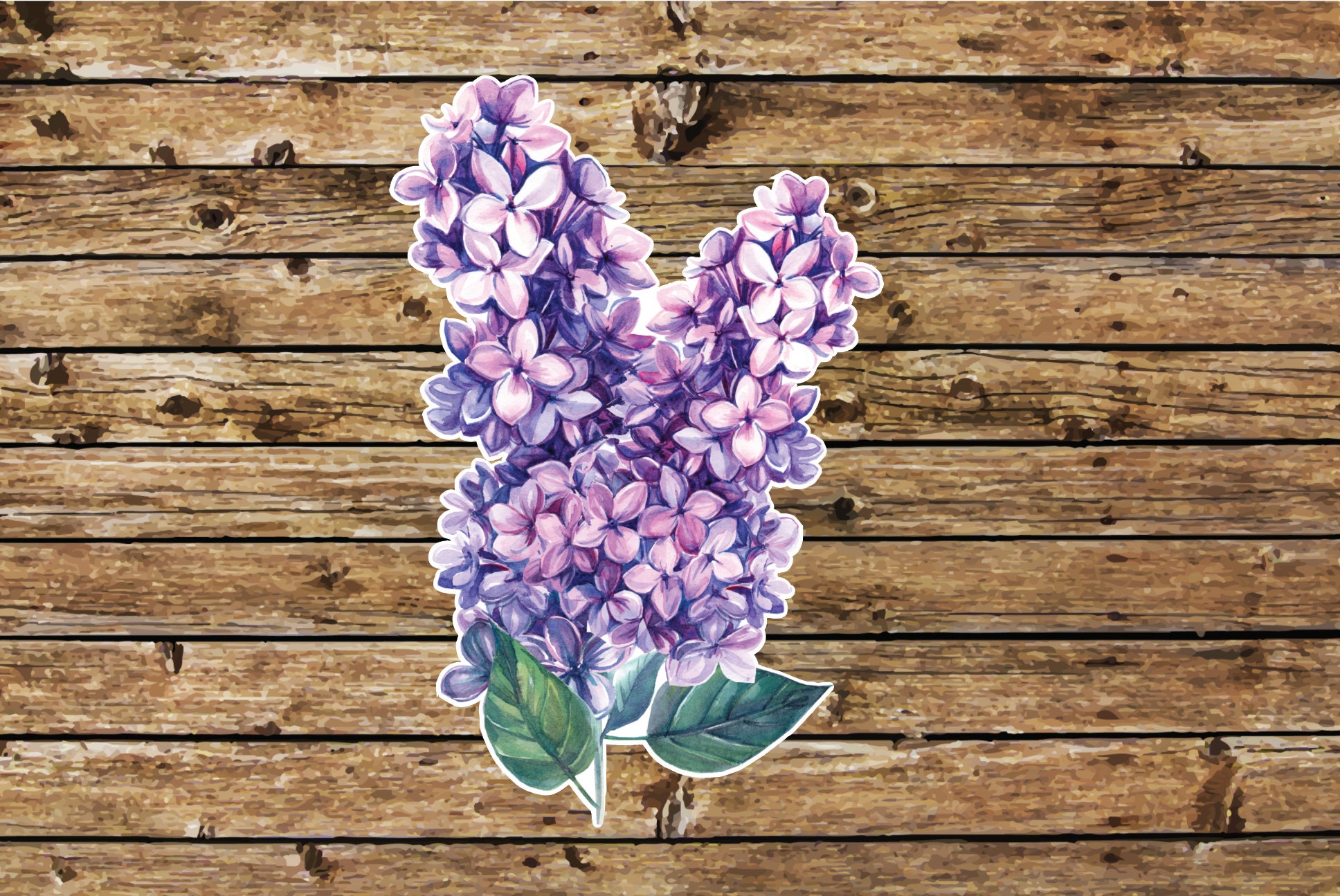 Lilac Flower Sticker Lilac Vinyl Decal Watercolor Flower | Etsy