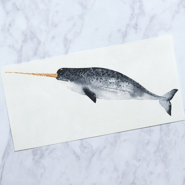 Narwhal Sticker - Etsy