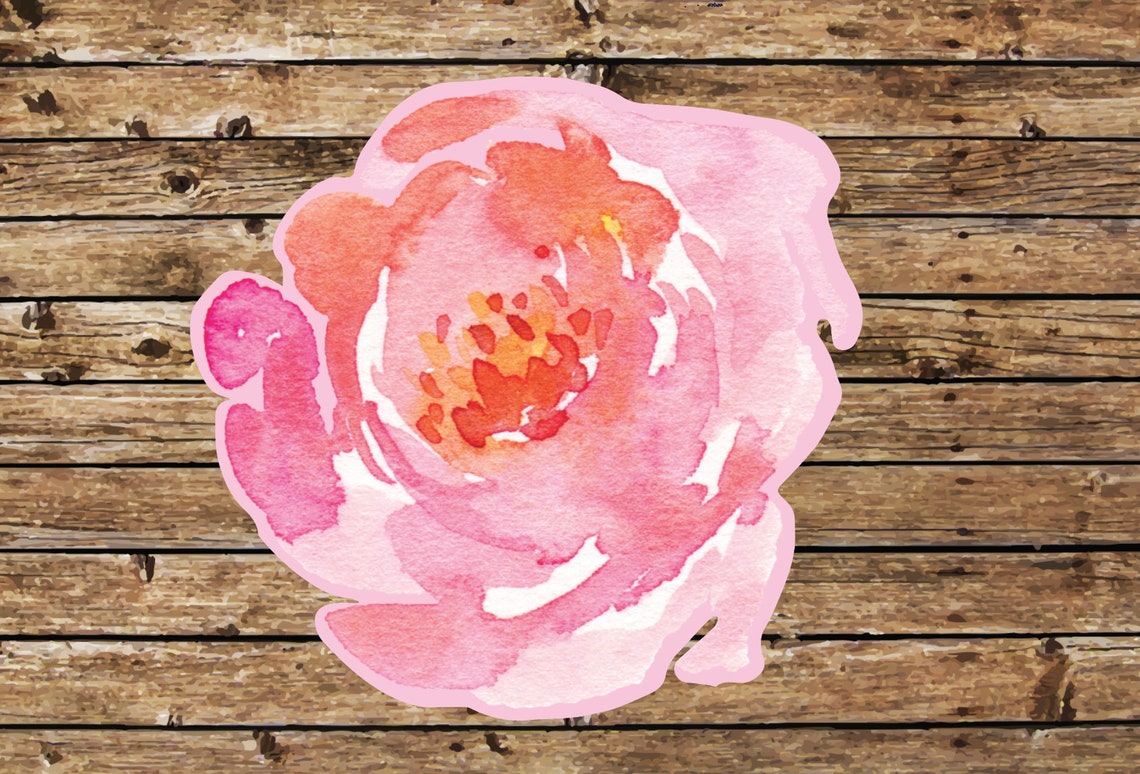 Pink Peony Flower Sticker Watercolor Peony Floral Vinyl - Etsy