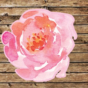 Pink Peony Flower Sticker Watercolor Peony Floral Vinyl Sticker Flower ...