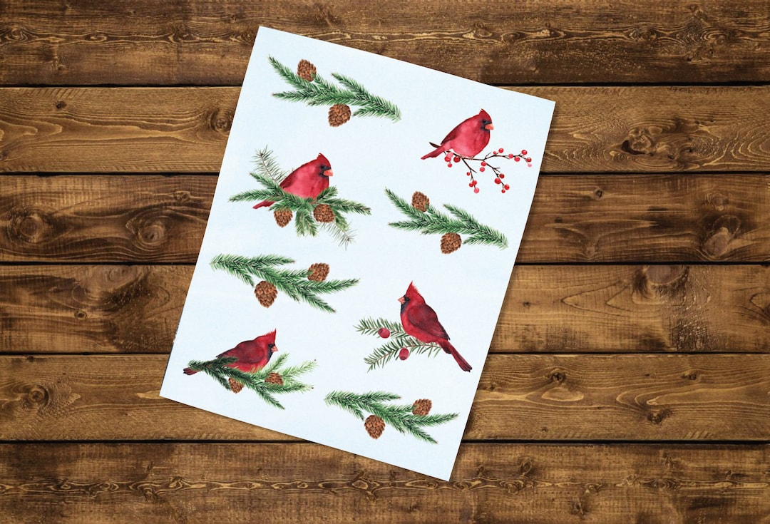 Cardinal Decal Pack | Watercolor Cardinal Vinyl Decals | Cardinal ...