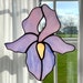 DIGITAL DOWNLOAD Pattern | Iris Blossom | Beginner Spring Flower Garden ...