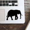 Freedom Wall Decal Vinyl Sticker Wall Art Mural Available in 9 ...