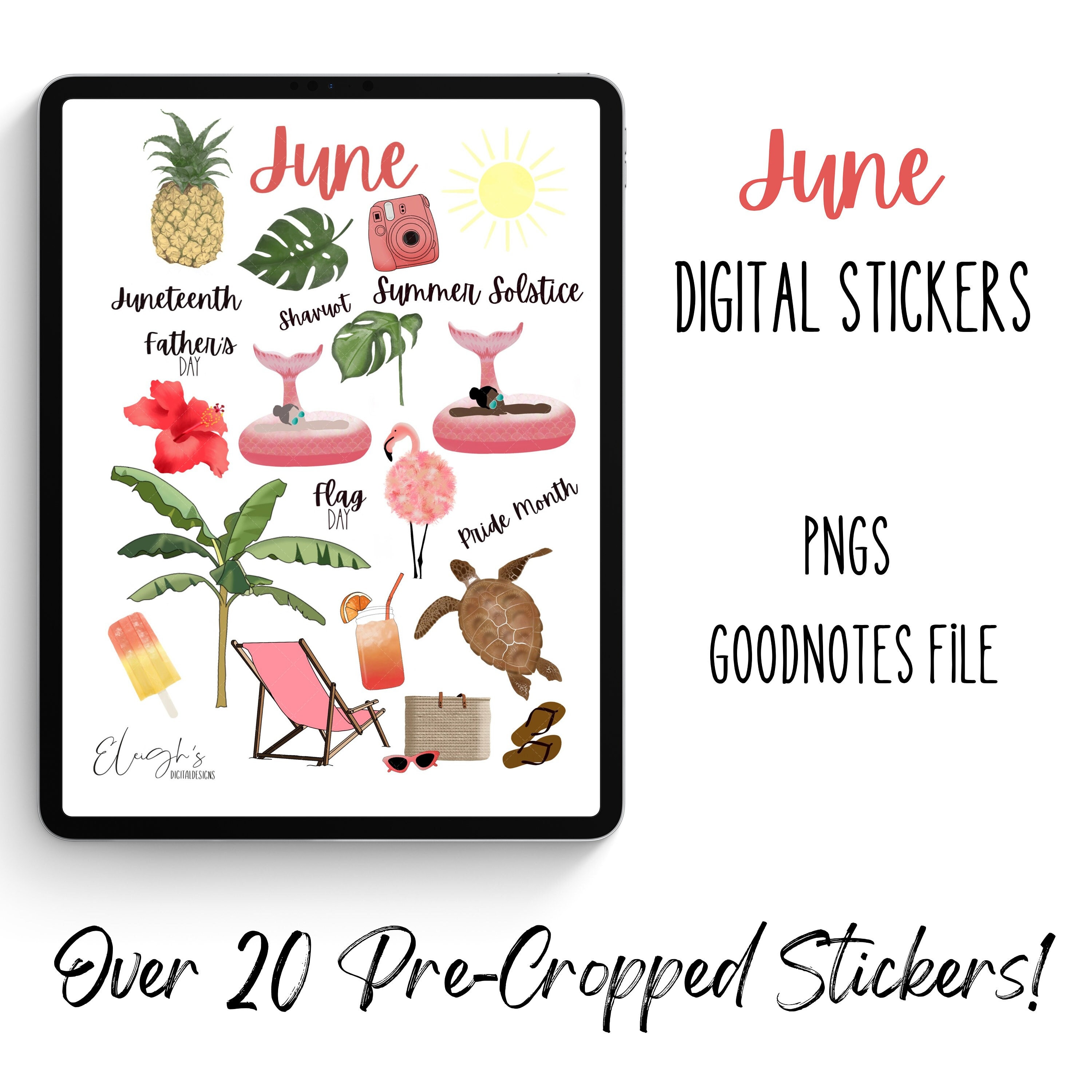 June Digital Sticker Pack | Digital Planner Journal Stickers ...