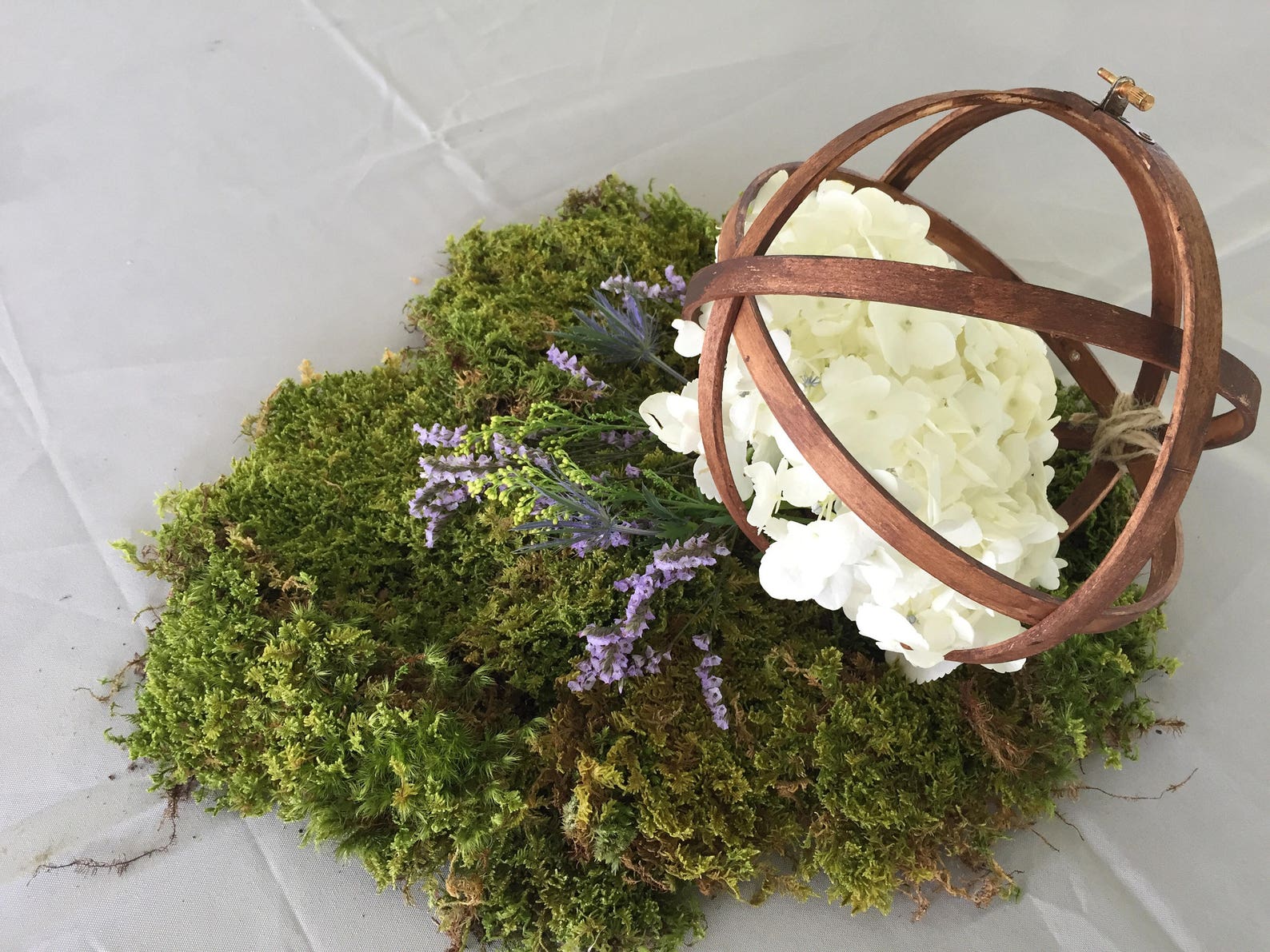 Moss Bulk Moss Assortment 8 Sq Ft Live Moss NOT - Etsy