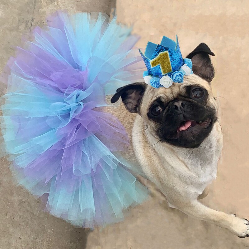 Dog Tutu - Etsy