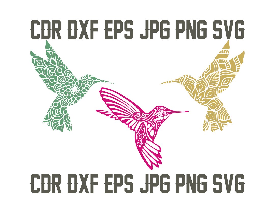 Hummingbird Svg Cut File, Digital Bird Silhouette, Instant Download ...