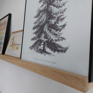 Floating Oak Shelf Picture Ledge, Display Decorative Shelf, Shelves ...