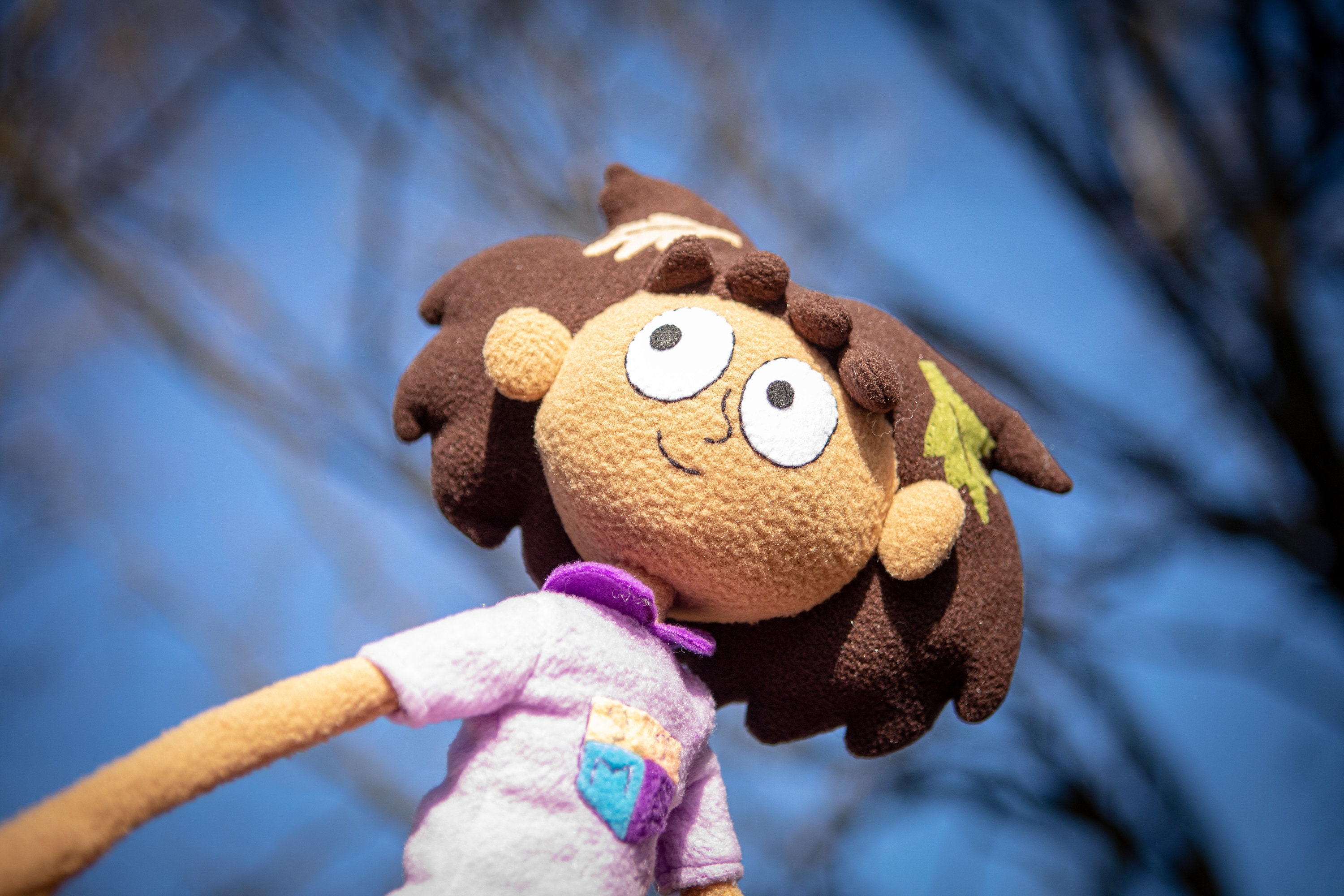 Anne Boonchuy Amphibia Inspired Anne Boonchuy Doll Amphibia - Etsy Canada