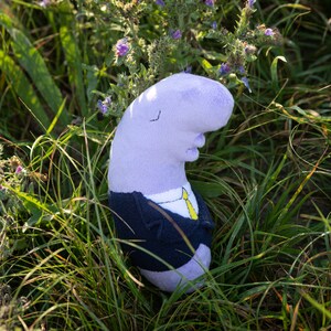 Smiling Friends Jason Plushie, Son of the Boss, Handmade Plush - Etsy ...