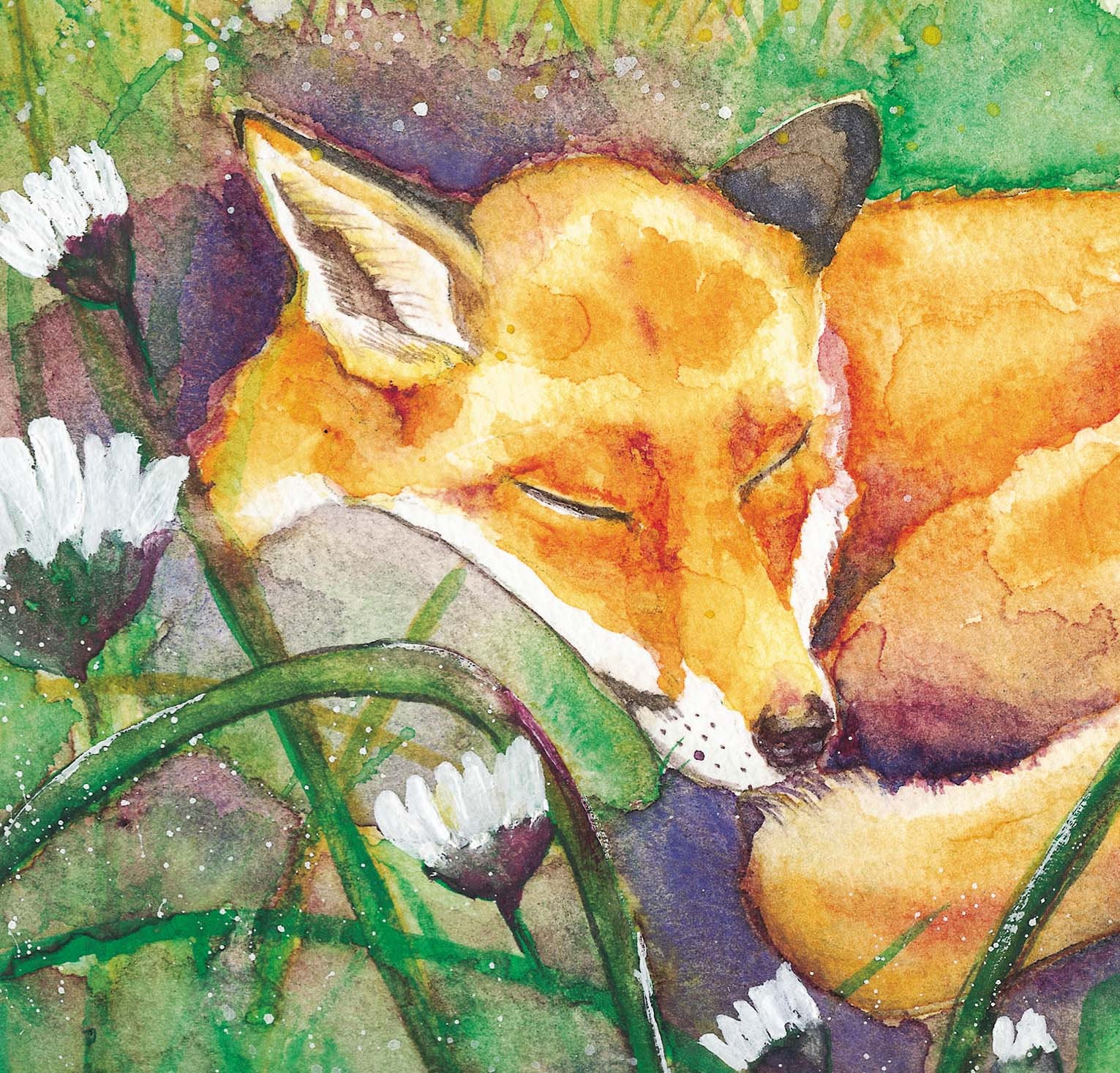 Fox Art Prints Watercolour Art Prints Wildlife Fox Print Fox ...