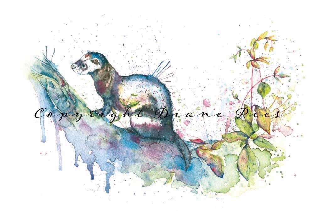 Polecat Art Print, Polecat Illustration, Polecat, Polecat Print ...